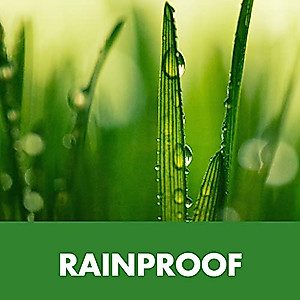 Spectracide Immunox Multi-Purpose Fungicide Spray Concentrate For Gardens 16 Ounces, Protects Up To 2 Weeks