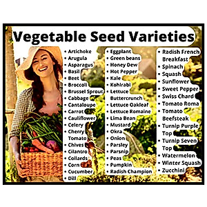 50 Vegetable & Fruit Seeds for Planting Your Outdoor & Indoor Home Seed Garden Gear. 12,500 Seeds, 50 Seed Markers, Growing Guide, & Survival Package. Gardening Heirloom Non-GMO Veggie Seed B&KM Farms