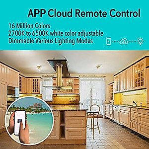 Smart Under Cabinet Lights,Color Changing & White 20Inch Cabinet Lighting Plug In,RGB LED Light Bar for Kitchen,Room Ambient,Alexa,Google Home,Smart Phone Control,Multi Colored Strip Lights,1pcs