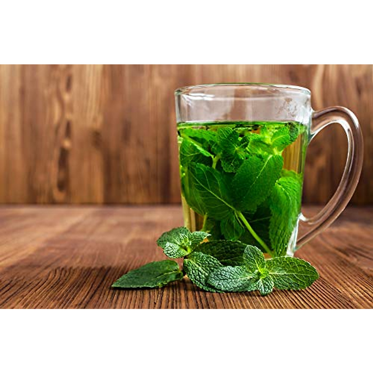 Sow Right Seeds - Peppermint Seeds for Planting - Non-GMO Heirloom Seeds - Full Instructions for Easy Planting and Growing an Herbal Tea Garden, Indoors or Outdoor; Great Gardening Gift