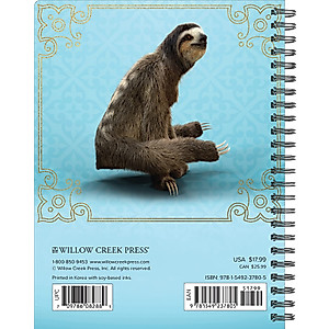 Animal Yoga 2024 Calendar