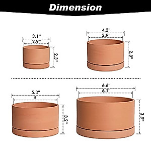 D'vine Dev Set of 4 Terracotta Shallow Planter Pots for Succulent, 3 Inch 4 Inch 5 Inch 6 Inch, Small Flower Plant Pots with Drainage and Saucer, 40-D-L-1