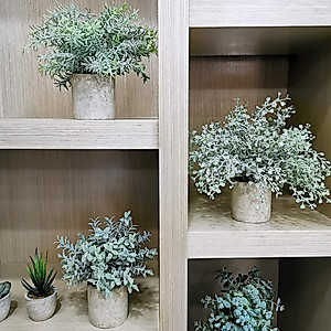 Winlyn Mini Potted Plants Artificial Flocked Eucalyptus Boxwood Rosemary Greenery in Pots Faux Potted Herbs Small Houseplants 8.8"-10" Tall for Indoor Greenery Tabletop Décor Centerpiece 3 Pack