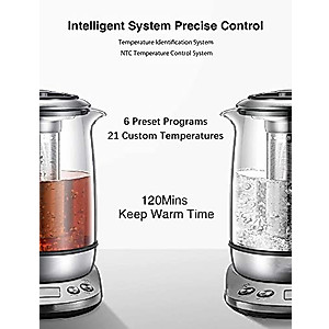 Electric Tea Kettle, 1.7L Variable Temperature Electric Kettle, Fast Boil Glass Water Kettle with 2Hr Keep Warm Function, Premium Stainless Steel, Boil Dry Protection, 1200W