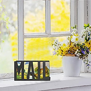 PalaYou Mail Organizer Holder Countertop Mail Sorter Letter Organizer for Desk Bill Filing Paper Document Postcards Books