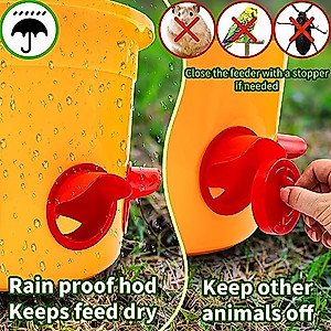 Chicken Feeder and Chicken Drinker Set and（Chicken Leg Bands 20 Pack）,Automatic Poultry Feeder Kit for Chickens,Birds,Turkeys Etc,Leak-Proof and Sun-Proof Chicken Feeder Chicken Water Cups (6pc, red)