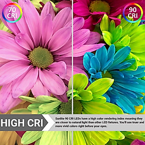 Sunlite A19 GU24 Dimmable Light Bulb, 10 Watts (60W Equivalent) 800 Lumens, 2 Prong LED Twist and Lock Base, 90 CRI, UL Listed, Energy Star, Title 20 Compliant, 2700K Soft White, 6 Pack