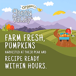Green Valley Organics Pumpkin | Certified Organic | 100% Dickinson Variety | Sweet Earthy Delicious | Firm & Smooth | Vibrant Autumn Orange | American Grown & Made | 15 oz (Pack of 4)