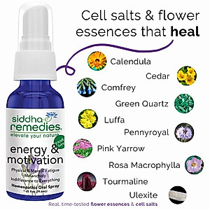 Siddha Remedies Energy & Motivation Spray | 100% Natural Homeopathic Remedy with Traditional Homeopathic Ingredients, Cell Salts and Flower Essences | No Alcohol No Sugar