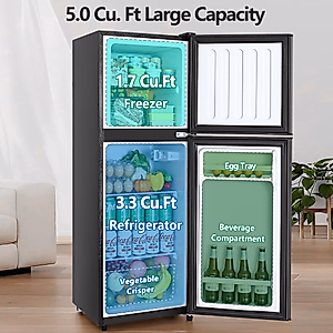 Fox Shack 5 Cu Ft Refrigerator with Freezer, 2 Doors Compact Fridge, Energy-efficient, Low noise, for Kitchen, Office, Dorm, Apartment