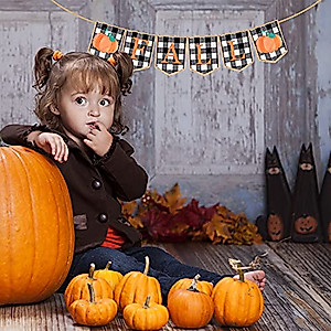 Doumeny Fall Pumpkin Burlap Banner Autumn Burlap Banner Buffalo Plaid Pumpkin Garland Thanksgiving Harvest Bunting Flag Rustic Burlap Harvest Banner Mantel Fireplace Decor