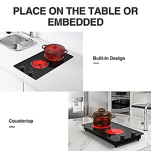 Electric Cooktop,110V 2100W Electric Stove Top with Knob Control, 10 Power Levels, Kids Lock & Timer, Hot Surface Indicator, Overheat Protection,Built-in Radiant Double induction cooktop
