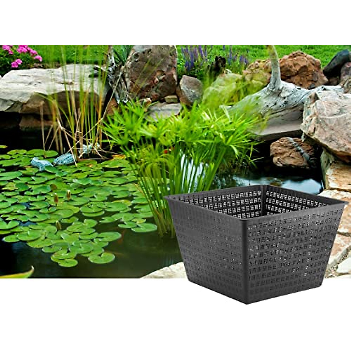 Little Giant 566556 UPB-1212-PW Square Aquatic Plant Basket for Ponds, 11.35 inches Square x 7.35 inches high, Black, 566556