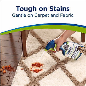 Bissell Woolite Free & Clear, Pet Stain & Odor Remover, 22oz (Pack of 2), 2719