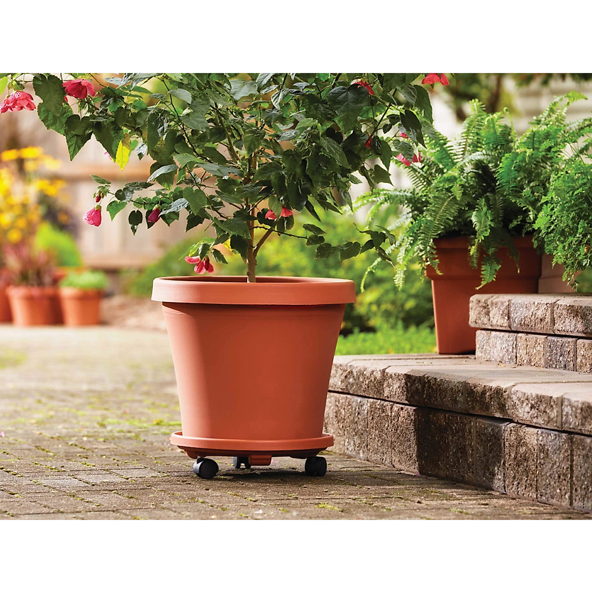 Bloem Fiskars 95122C 12-Inch Round Plant Caddy, Color Terracotta — 🛍️ ...