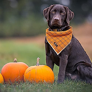 DOGWONG Dog Bandana Cotton Washable Soft Dog Bibs Scarf, Adjustable Kerchief Square Dog Bandanas for Small Large Dogs