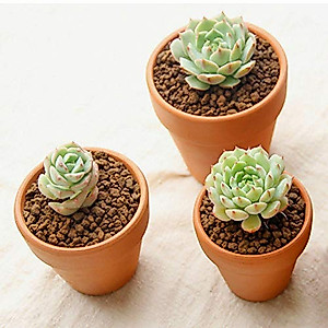 32 Pcs - 2.16" Small Mini Clay Pots Terracotta Pot Ceramic Pottery Planter Terra Cotta Flower Pot Succulent Nursery Pots - Great for Window Boxes, Cactus, Plants, Crafts, Wedding Favors
