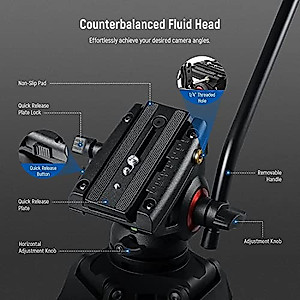 NEEWER 74" Pro Video Tripod with Fluid Head, Heavy Duty Aluminum Tripod with 360° Pan&-70°/+90° Tilt Head Quick Release Plate and Mid-Level Spreader for DSLR Camera&Camcorder, Max Load:17.6lb/8Kg-GM88