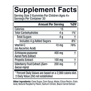 Kids Elderberry Gummies | Great-Tasting Immune Support Formula with Vitamin C, Echinacea, Sambucus, Propolis Extract | by Live Conscious - 60 Count