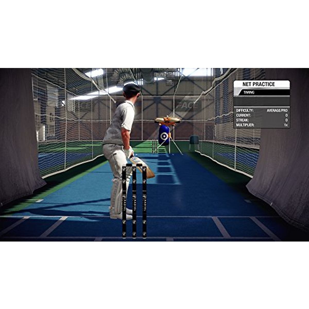 Don Bradman Cricket (PS4)