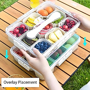 2 Pack Portable Picnic Parties Fruit Tray, 9 Compartment Fridge Food Veggie Condiment Divided Serving Preservation Storage Containers, Kitchen Clear Snackle Box Candy Organizer with Lid Handle