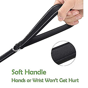 Dog Leash for Large Dogs, Traffic Padded 2 Handles for Extra Control, 6 FT Long with Reflective Stitch for Night Walking Black