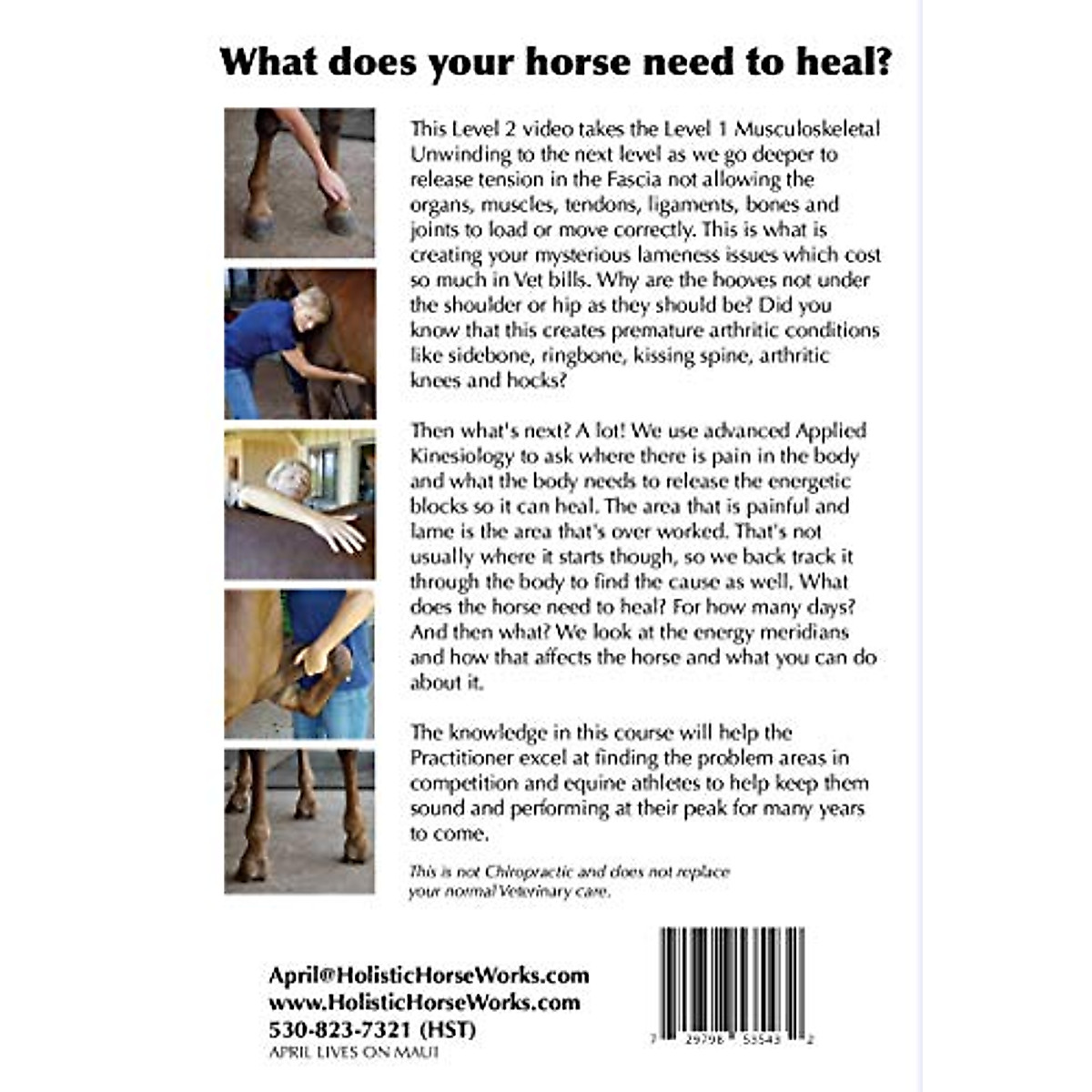 Holistic Horseworks Level 2 Equine Whole Body CranioSacral Unwinding And Advanced Applied Kinesiology Horse DVD Home Study Course - Level 1 Equine Musculoskeletal Unwinding Required