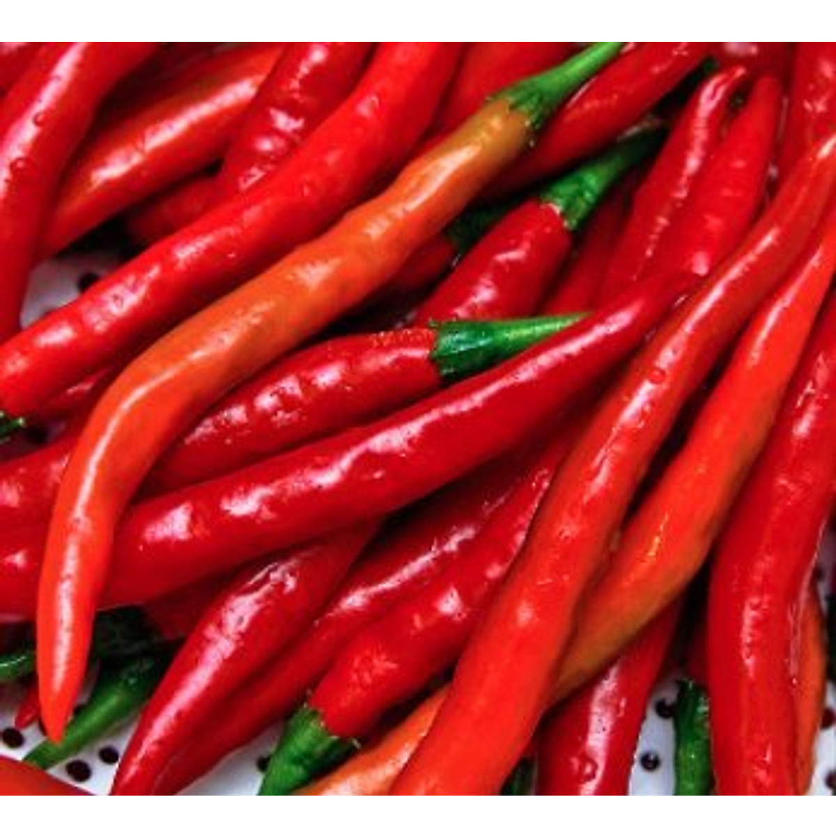 Long Red Thin Cayenne Pepper Seeds for Planting, 100+ Heirloom Seeds Per Packet, (Isla's Garden Seeds), Non GMO Seeds, Botanical Name: Capsicum annuum, Great Home Garden Gift