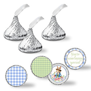 You* *re Some Bunny Special Little Rabbit Birthday Kiss Sticker Labels for Boys, 300 Party Circle Sticker sized 0.75* * for Chocolate Drop Kisses by AmandaCreation, Great for Party Favors, Envelope
