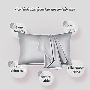 Silk Pillowcase for Hair and Skin Mulberry Silk Pillowcase Soft Breathable Smooth Both Sided Natural Silk Pillowcase with Zipper Beauty Sleep Silk Pillow Case 1 Pack for Gift (Standard, Silver Gray)