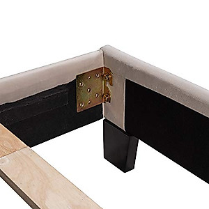 Lifeand Queen Size Velvet Upholstered Platform Bed, Box Spring Needed - Beige