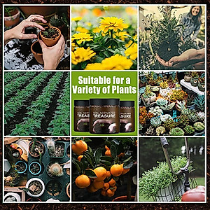 XIRUJNFD Soil Activated Treasure-You Will Be Amazed! Indoor Plant Fertilizer, Soil Activated Treasure, Fertilizer for Plants Flower Lawn, Improve Plant Growth (100g,3Pcs)