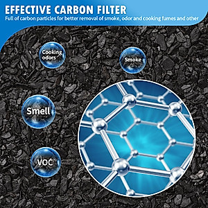 FURCIELOS HP201 HP202 True HEPA Filter Compatible with Shark HP201 HP202 HP301 HP302 UA205 AP1000 HC501 HC502 Air Purifier MAX, Part # HE2FKBAS, HE2FKBASMB,2-Pack