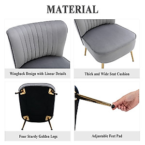 DUOMAY Modern Accent Chair Set of 2 Velvet Slipper Chair with Gold Legs Wingback Side Chair for Living Room Bedroom Entryway Small Corner Chair for Space Saving, Grey