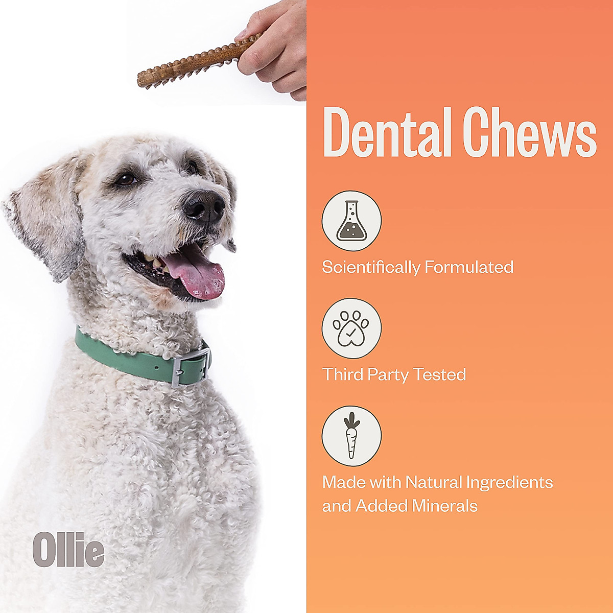 Ollie Belly Rubs Dog Probiotic Chews and Ollie Dental Chews for Dogs Large- Dog Breath Treats