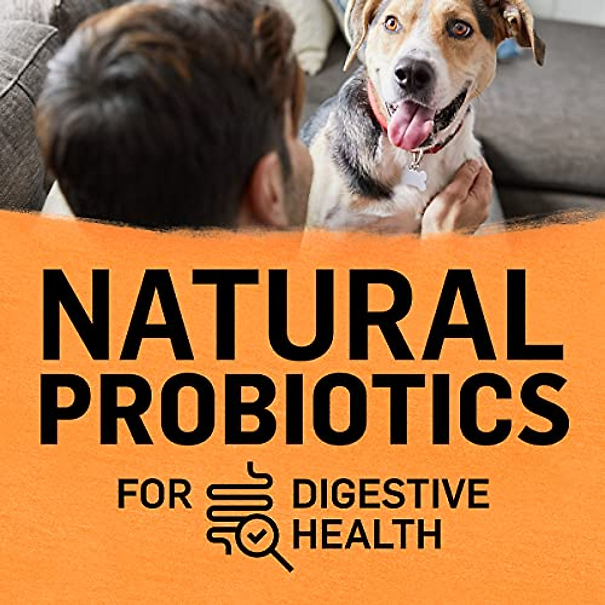 Beyond Purina Beyond Grain Free, Natural Dry Dog Food, Grain Free White Meat Chicken & Egg Recipe - 23 lb. Bag