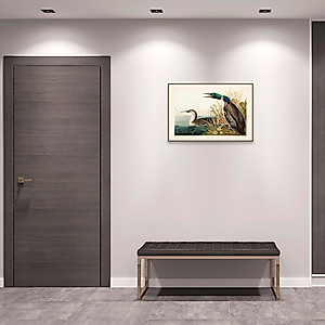 Amanti Art Framed Canvas Wall Art 23x33 Pl 306 Great Northern Diver or Loon by John James Audubon, Framed Wall Art Canvas, Animals Artwork, Country Rustic Decor, Large Poster Painting for Living