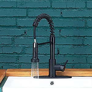 Black Kitchen Faucet, Matte Black Kitchen Faucet with Pull Down Sprayer,Commercial Spring Single Handle Kitchen Sink Faucet, Farmhouse Camper Laundry Utility Rv Bar Sink Faucet TDLKF026BD