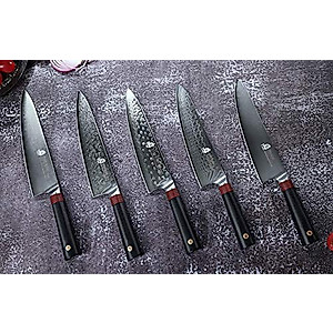 TUO Damascus Chef's Knife - Kitchen Chef Knives - Japanese AUS-10 Damascus Steel - Dishwasher Safe G10 Handle - Gift Case Included - RING-RC Series TC0301RC - 8"