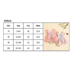 Infant Baby Girl Rompers Dress Embroidery Butterfly Wing Fly Sleeve Rainbow Tulle Skirt Jumpsuits Baby Bodysuits (Colorful Purple, 12-18 Months)