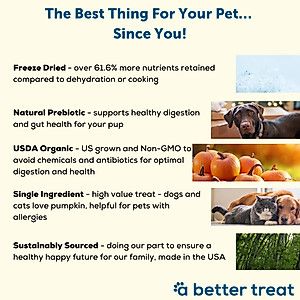 A Better Treat – Freeze Dried Organic Pumpkin Dog and Cat Treats, Organic, Single Ingredient | Natural, Healthy, Diabetic Friendly | Made in The USA