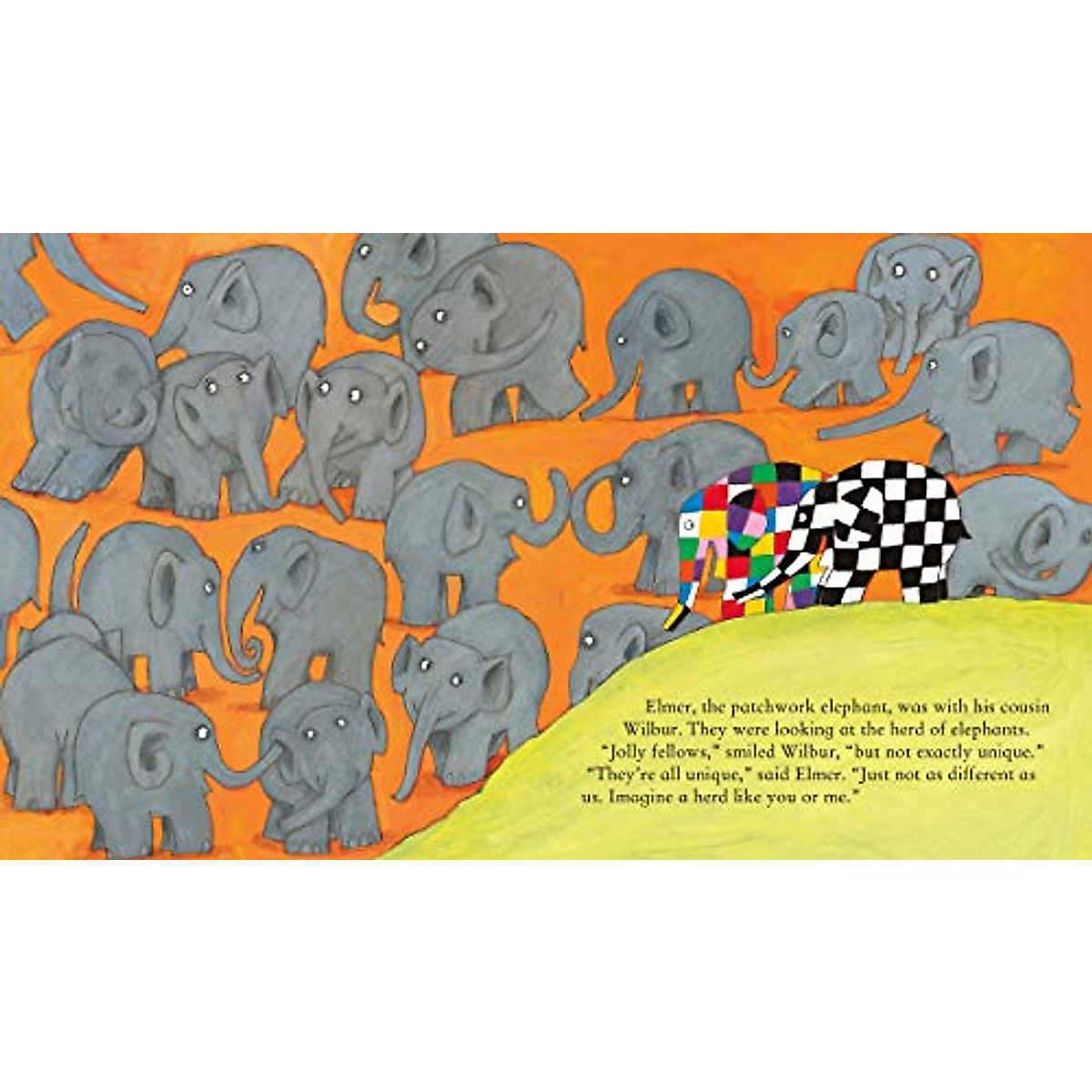 Elmer and Rose (Elmer Picture Books)