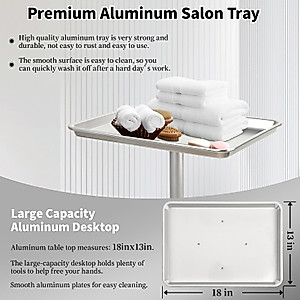 Salon Tray Cart,Aluminum Instrument Salon Tray on Wheels,Height Adjustble Storage Utility Cart,Hair Salon Tray,Tattoo Tray on Wheels