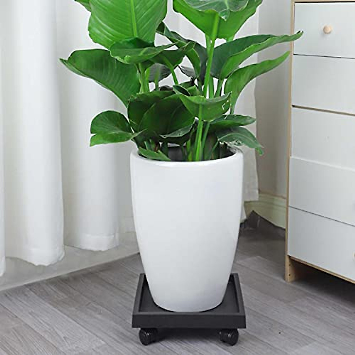 BAODAN Plant Caddy with Wheels, Plant Trolley, Plant Dolly Heavy Duty, Square Movable Plant Roller, Toughened Resin Plant Pallet Caster, 9.45x9.45x3.35in, Black