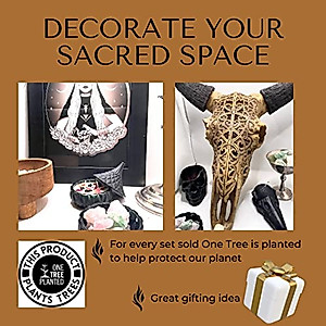 Sacred Luxury Skull Candle Set - Witchy Gifts for Women | Gothic Decor Home | Skull Gifts for Women | Black Skull Candle | Spooky Candles | Witchy