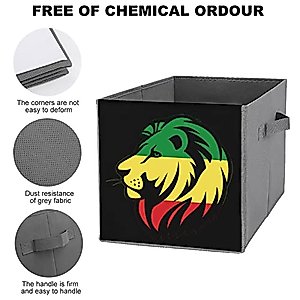 Rasta Lion Collapsible Storage Bins Basics Folding Fabric Storage Cubes Organizer Boxes with Handles
