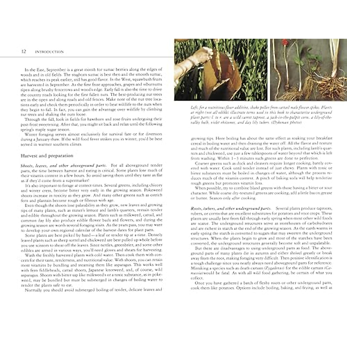 Edible Wild Plants: A North American Field Guide to Over 200 Natural Foods