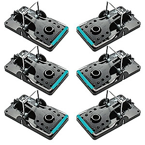 Large Rat Traps, Set of 6, Reusable Pest Control Solutions for Trapping Against Mouse, Chipmunk, and Squirrel. Instant Humane Kill Rodent Snap Trap That Work