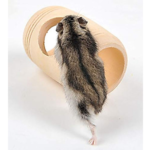 Wooden Hamster Chew House Tunnel Hut Hideout Molar Toy for Small Animal Dwarf Rat Mouse Gerbil Chinchilla Guinea Pig (House & Tunnel 2 Pack)