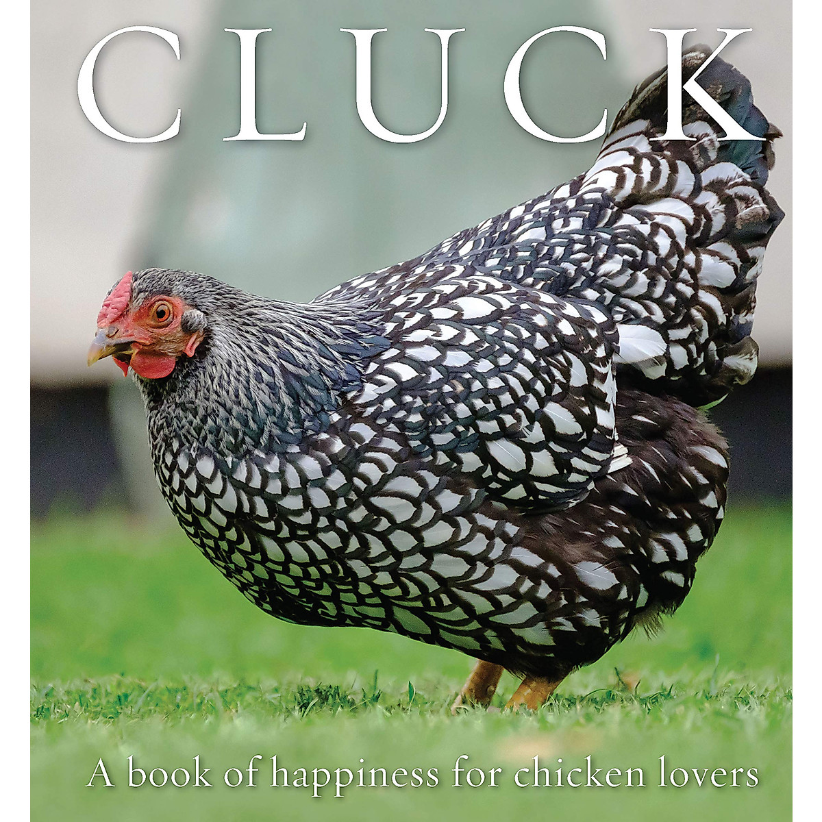Cluck: A Book of Happiness for Chicken Lovers (Animal Happiness)